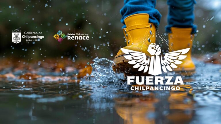 Ayuntamiento constitucional de chilpancingo